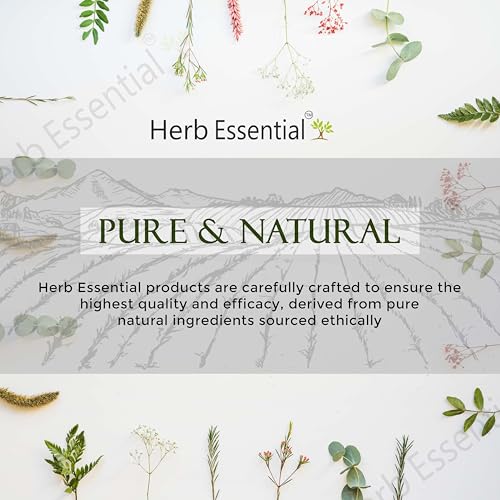 herbal supplement papaya leaf powder