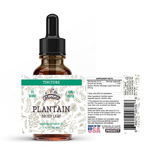 herbal supplement plantain tincture usage