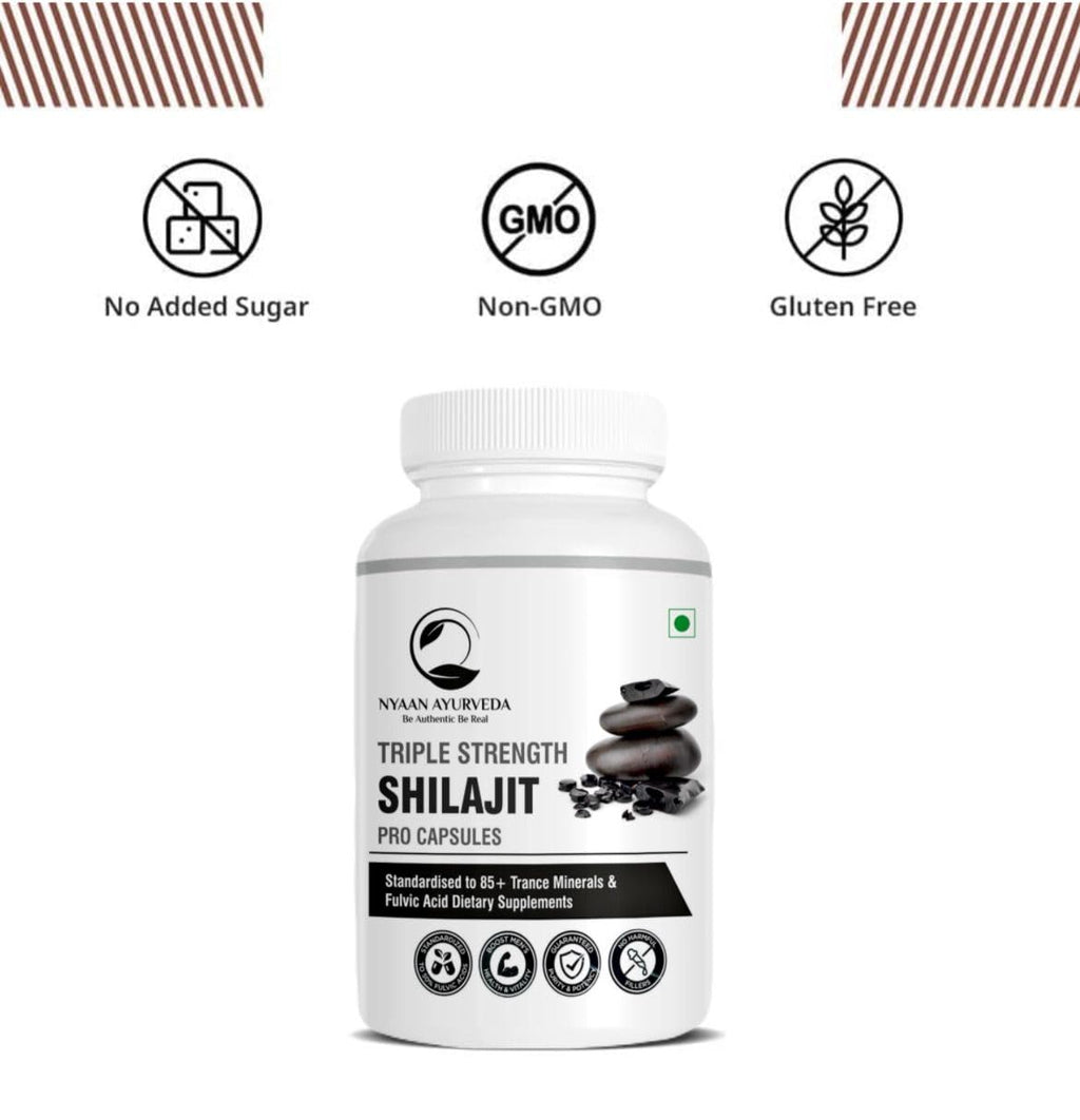 herbal supplement shilajit for daily use