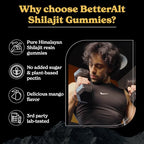 Herbal supplement shilajit gummies