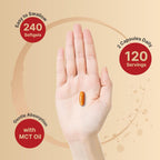 herbal supplement turmeric curcumin capsules