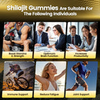 Herbal supplement VivoNu Shilajit benefits