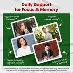 herbal supplement with Alpha GPC