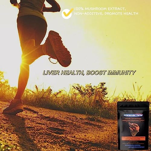 herbal supplement with Antrodia Camphorata