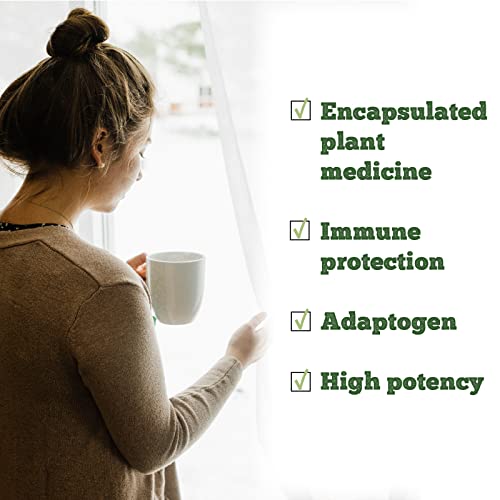 herbal supplement with astragalus benefits