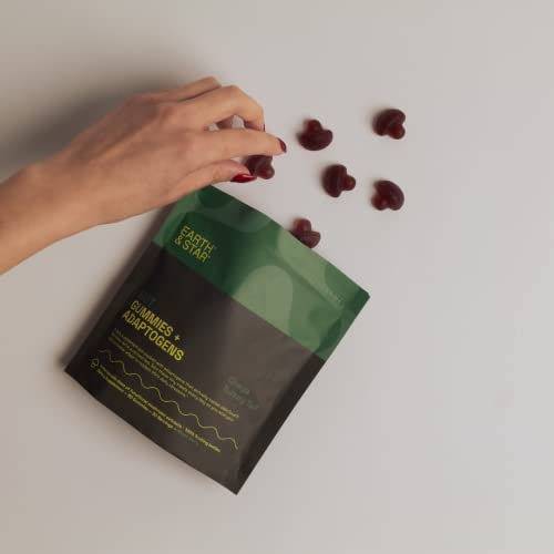 Herbal supplement with chaga and turkey tail