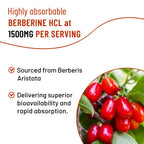 herbal supplement with dihydroberberine