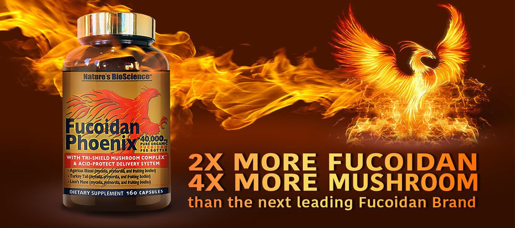 herbal supplement with mushroom extracts