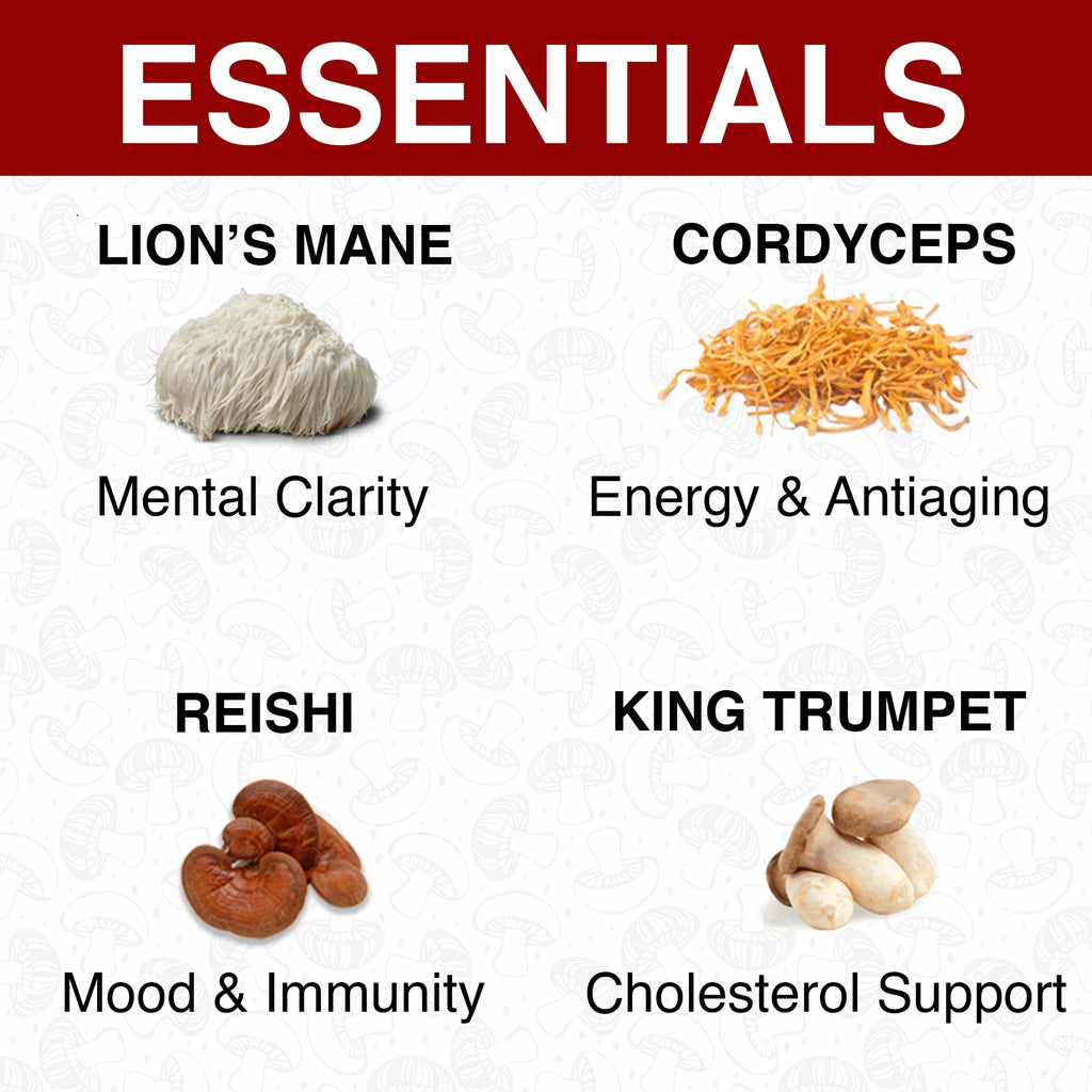 herbal supplement with mushroom extracts