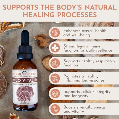 herbal supplement with natural mushroom flavor
