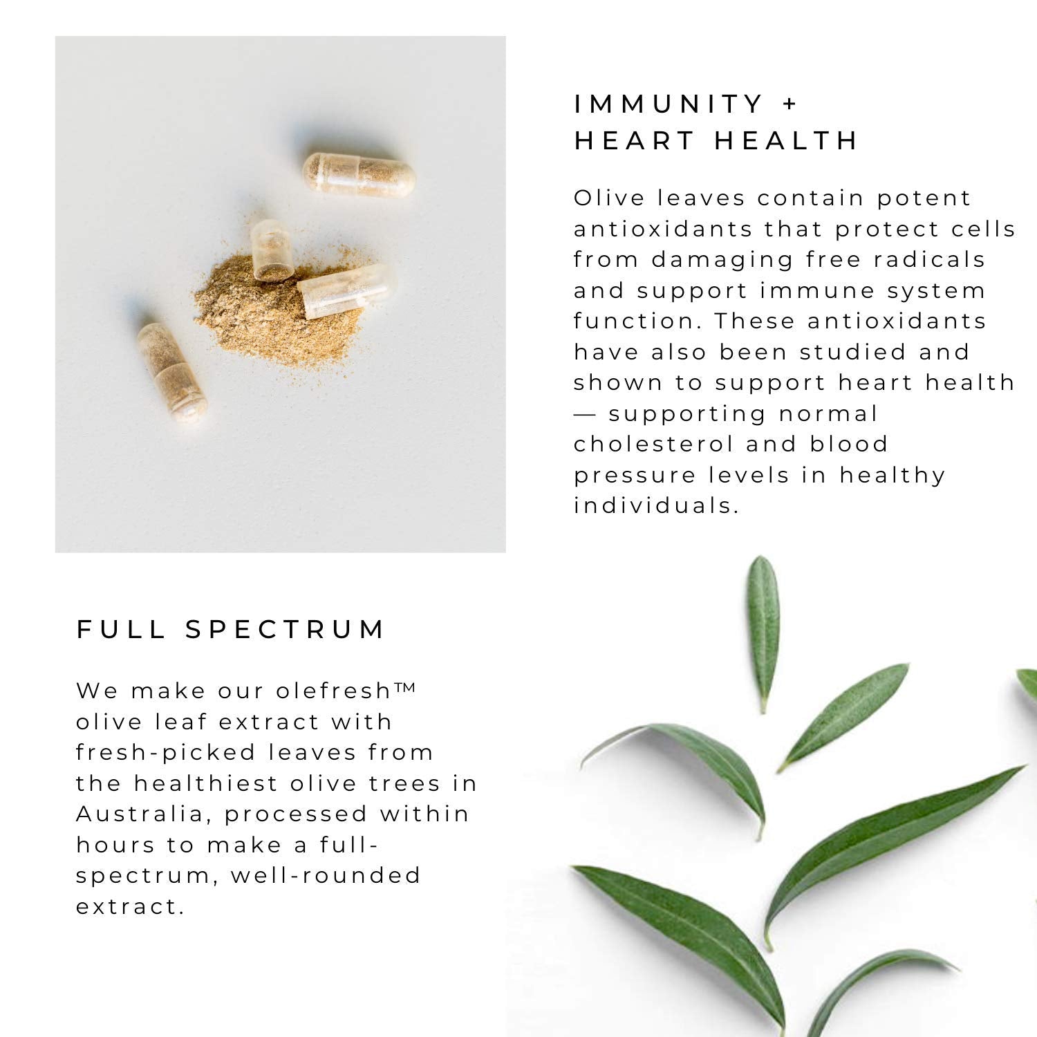 herbal supplement with olive leaf