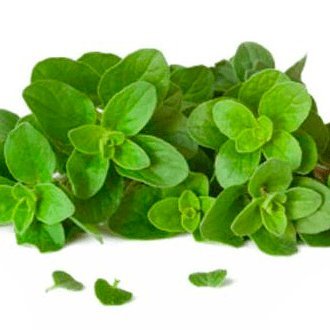 Herbal supplement with oregano and black seed