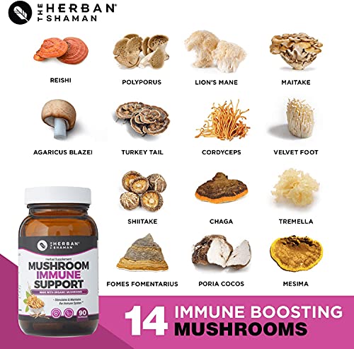 herbal supplement with powerful mushrooms