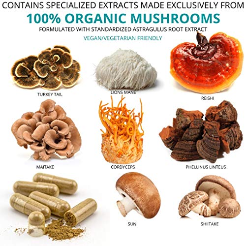herbal supplement with powerful mushrooms