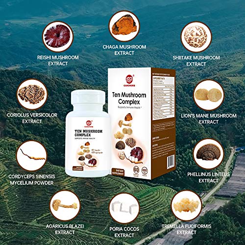 herbal supplement with Reishi and Lion’s Mane