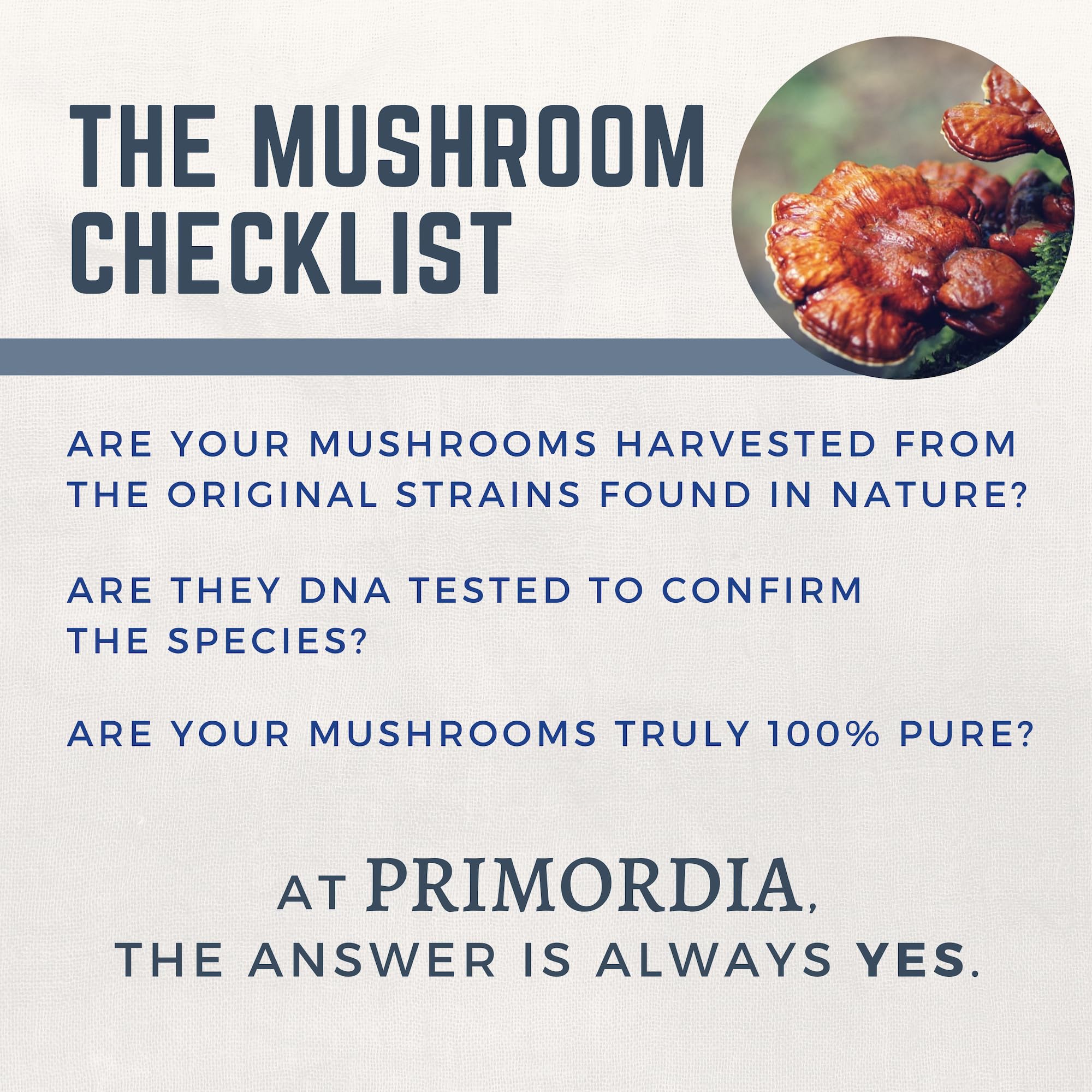 Herbal supplement with reishi mushrooms benefits