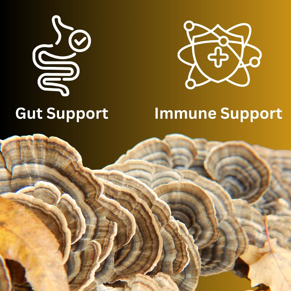 Herbal supplement with Turkey Tail mushrooms