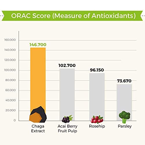 herbal supplements featuring Chaga mushrooms