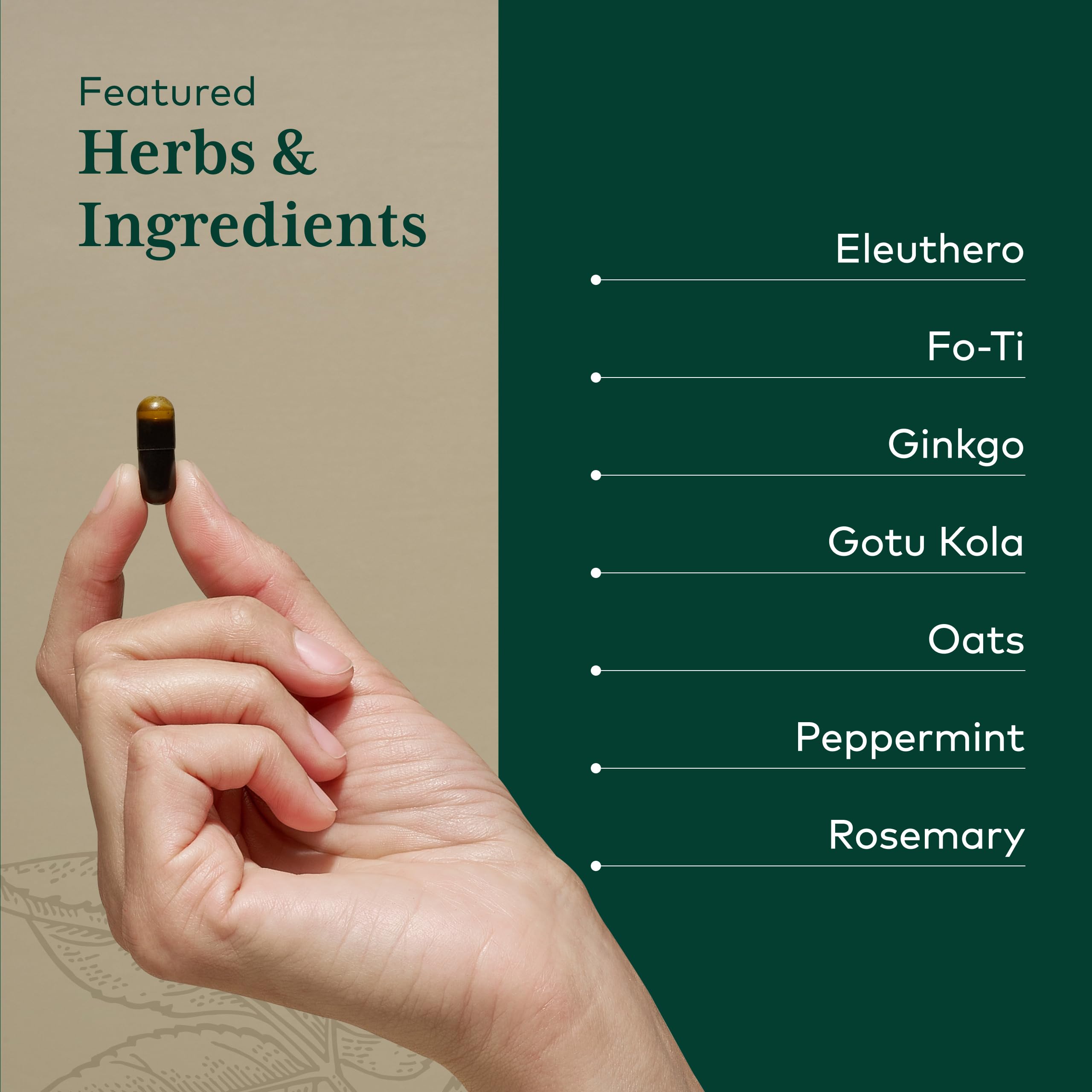 herbal supplements for brain function