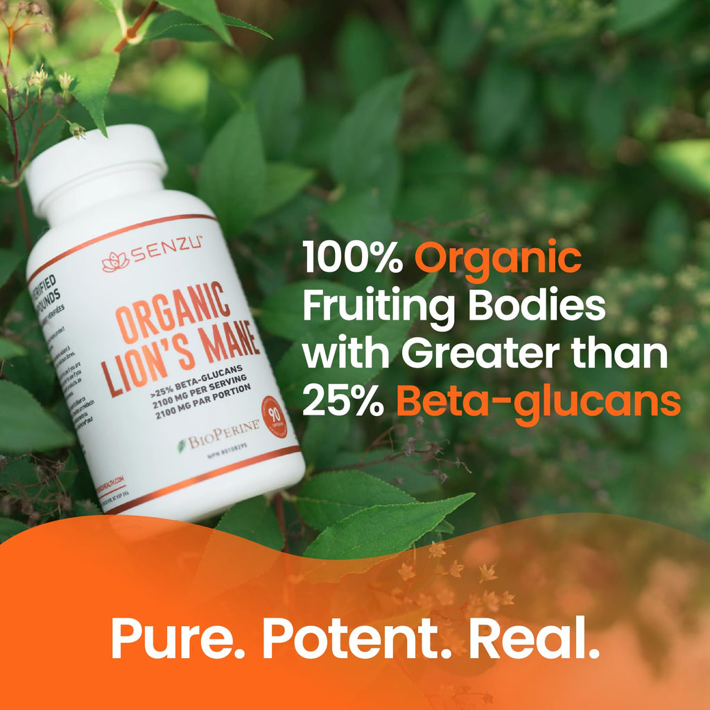 herbal supplements for brain health
