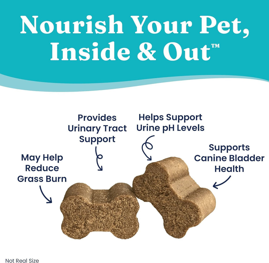 herbal supplements for canine digestion
