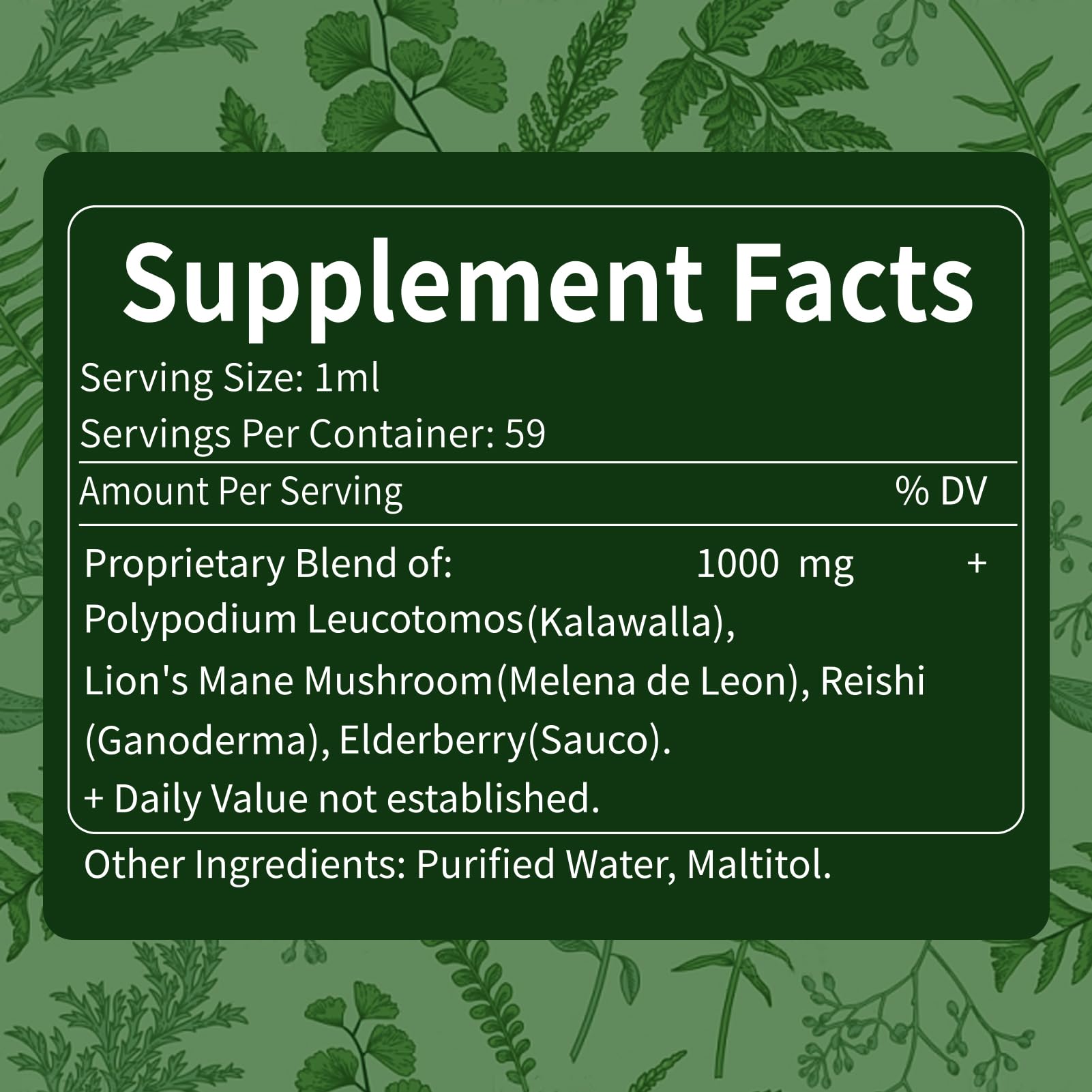 herbal supplements for cognitive support