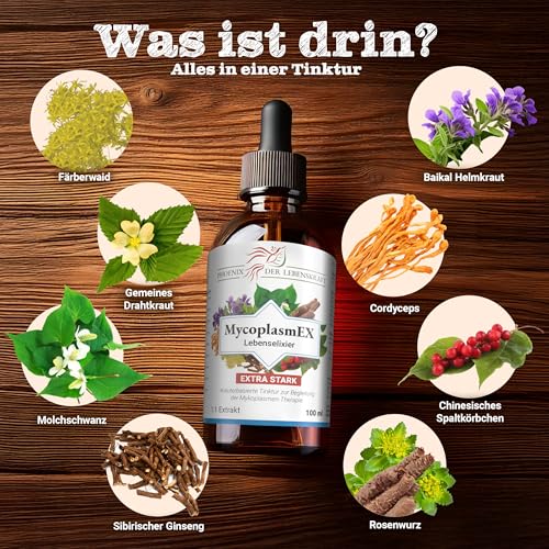 Herbal supplements for daily health