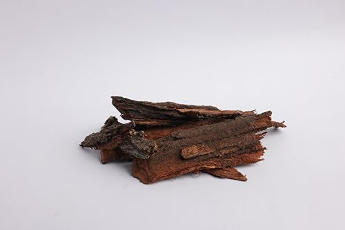 herbal supplements for daily use