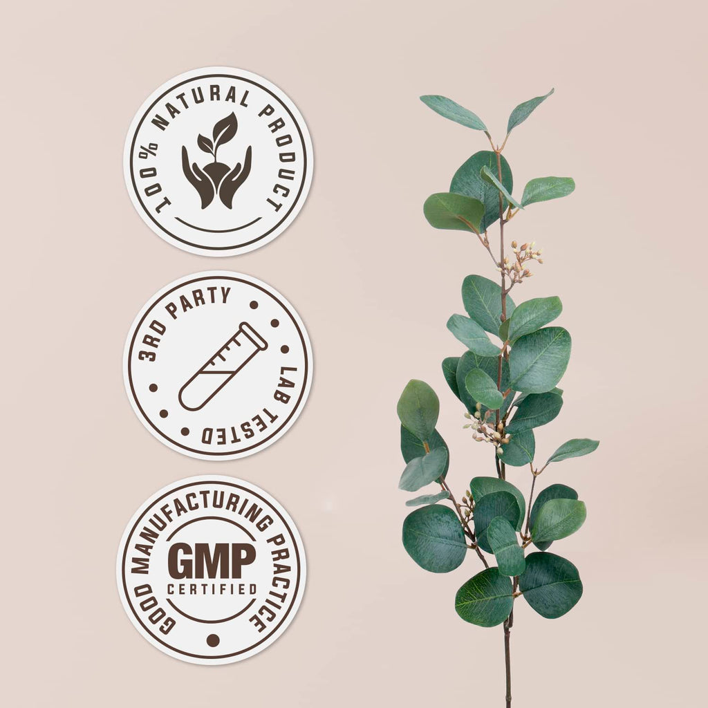 herbal supplements for daily vitality