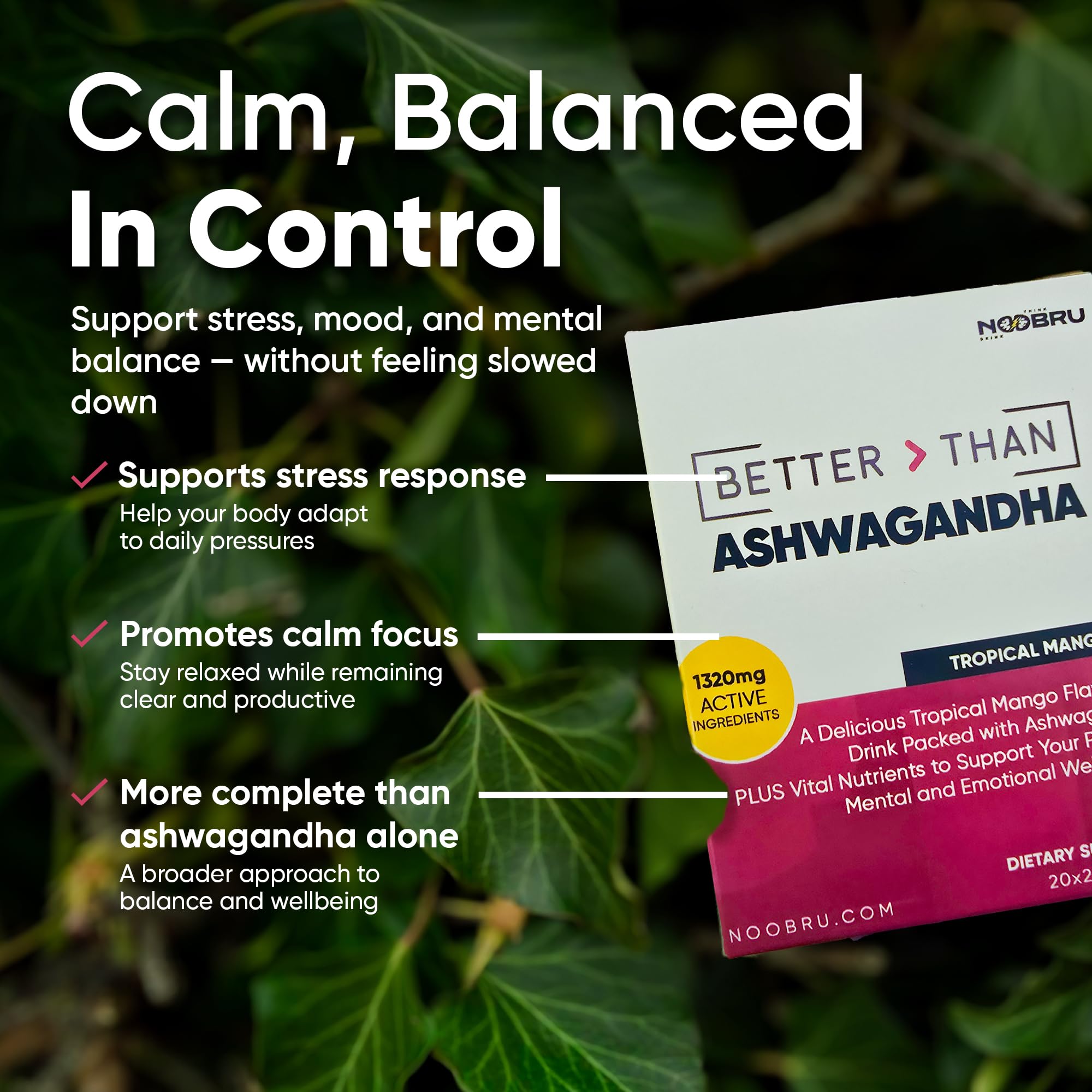 herbal supplements for daily wellness