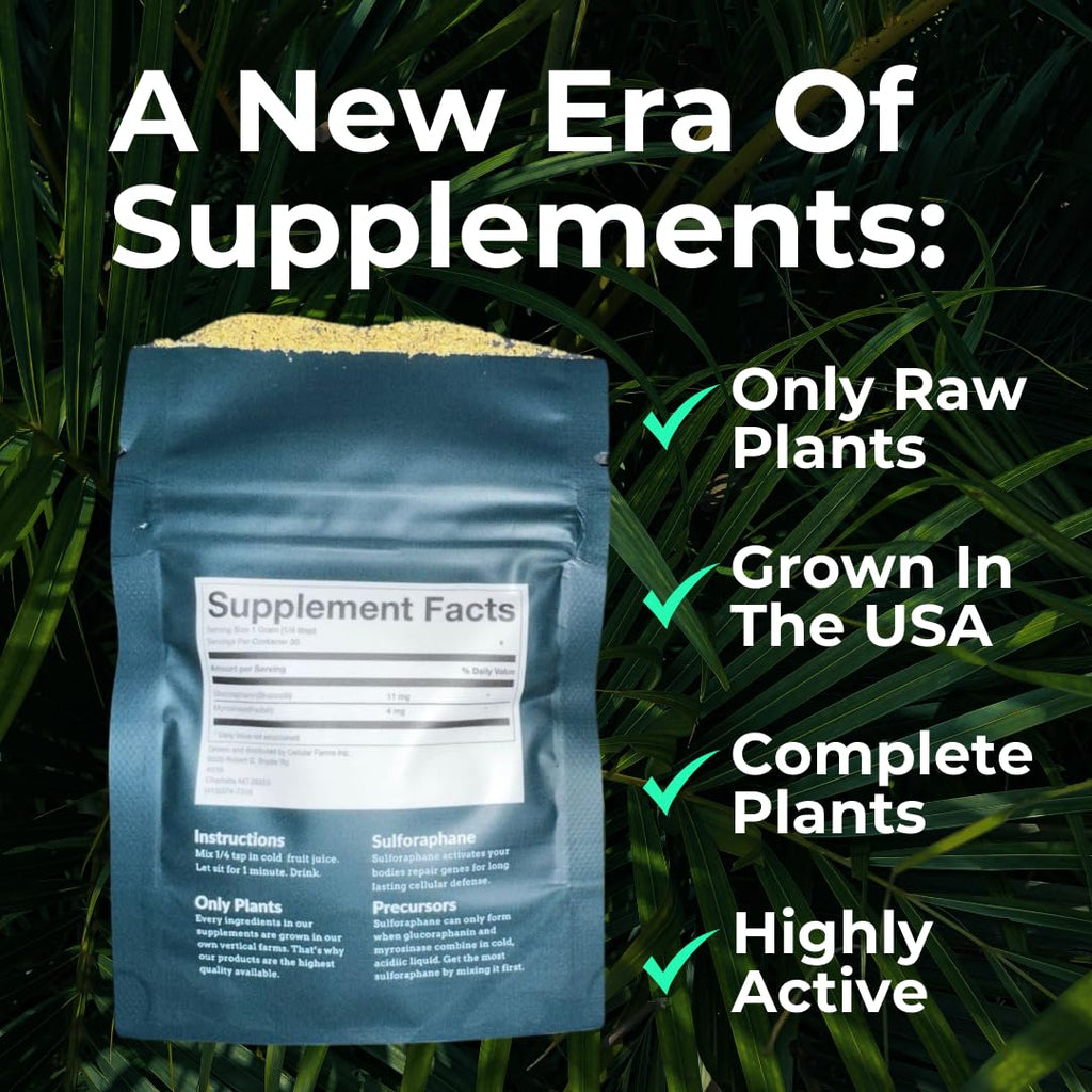 herbal supplements for digestive health