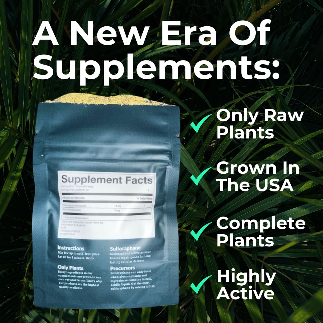 herbal supplements for digestive health