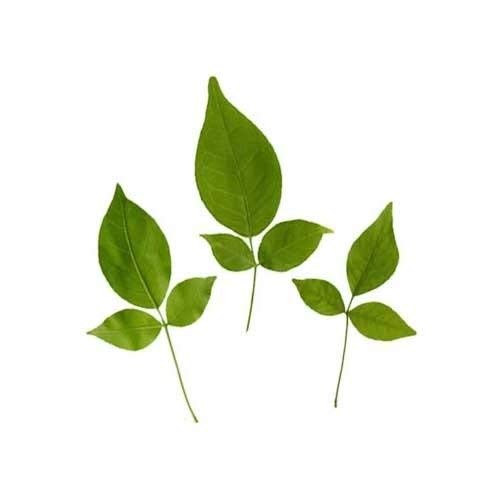 herbal supplements for digestive health