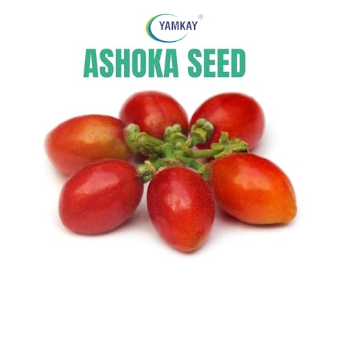 Herbal supplements for digestive health