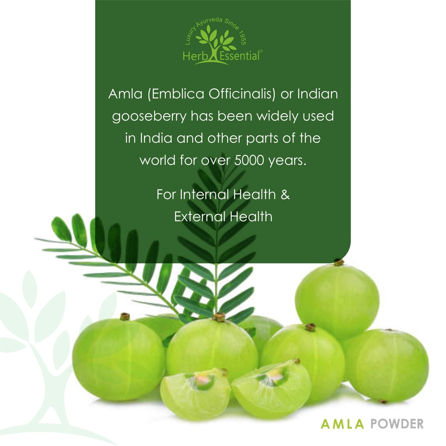 herbal supplements for digestive support