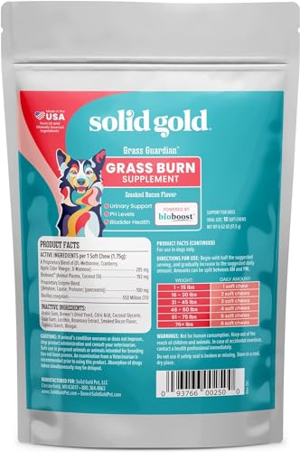 herbal supplements for dog digestive health
