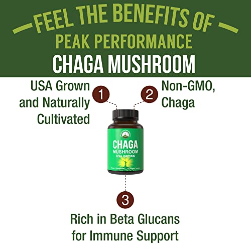 herbal supplements for energy and wellness