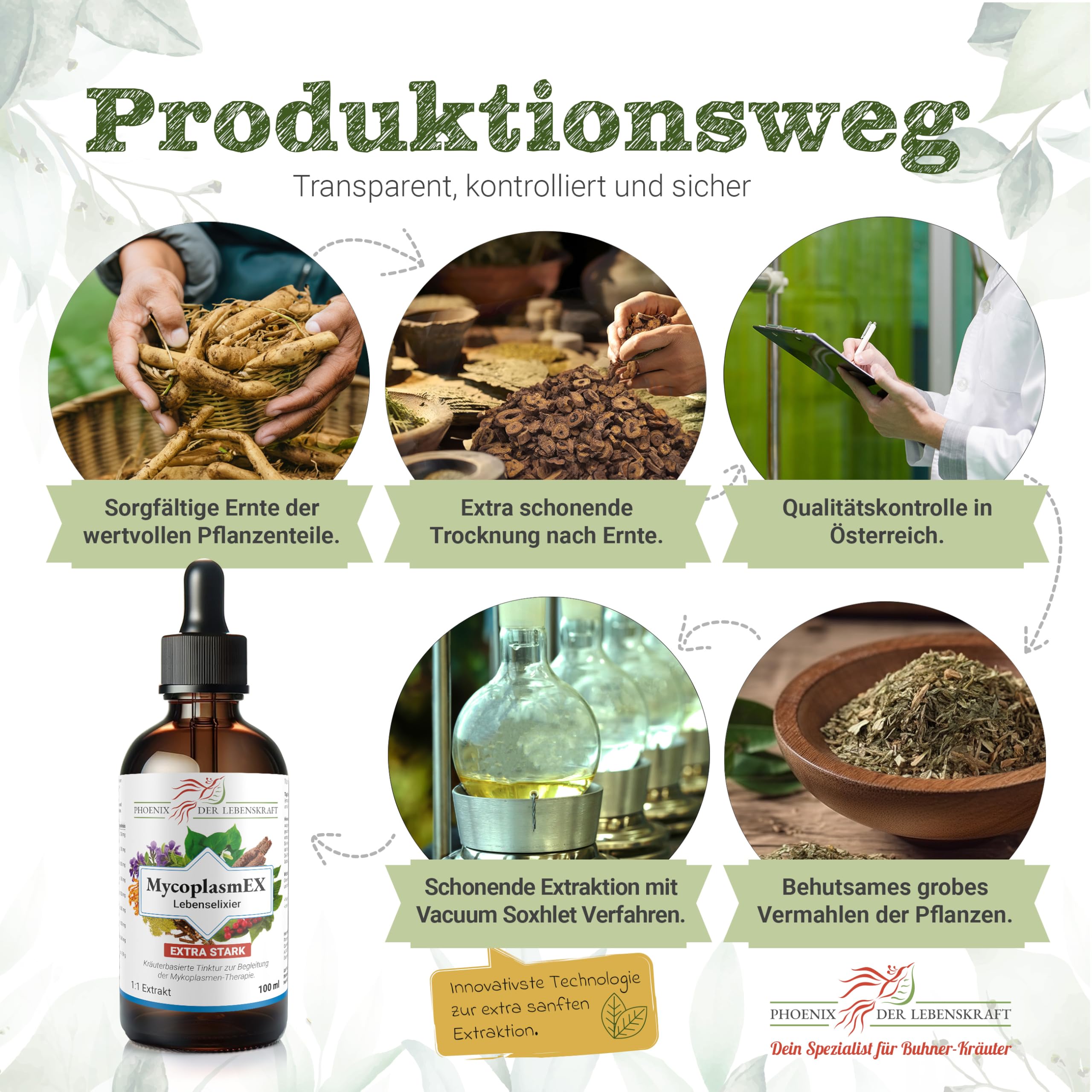 Herbal supplements for enhanced focus