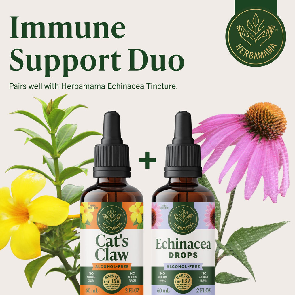herbal supplements for everyday wellness