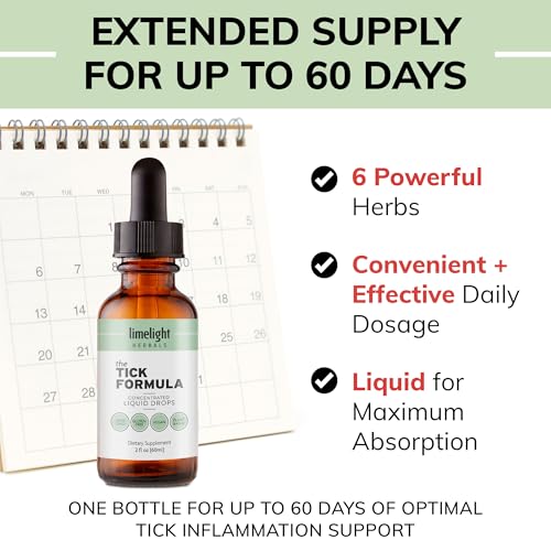 herbal supplements for everyday wellness