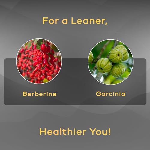 herbal supplements for healthy cholesterol levels