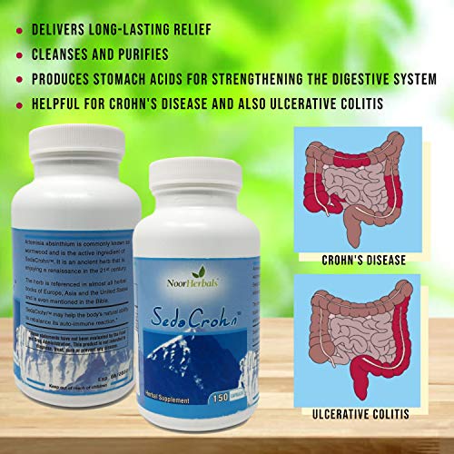 herbal supplements for healthy gut flora