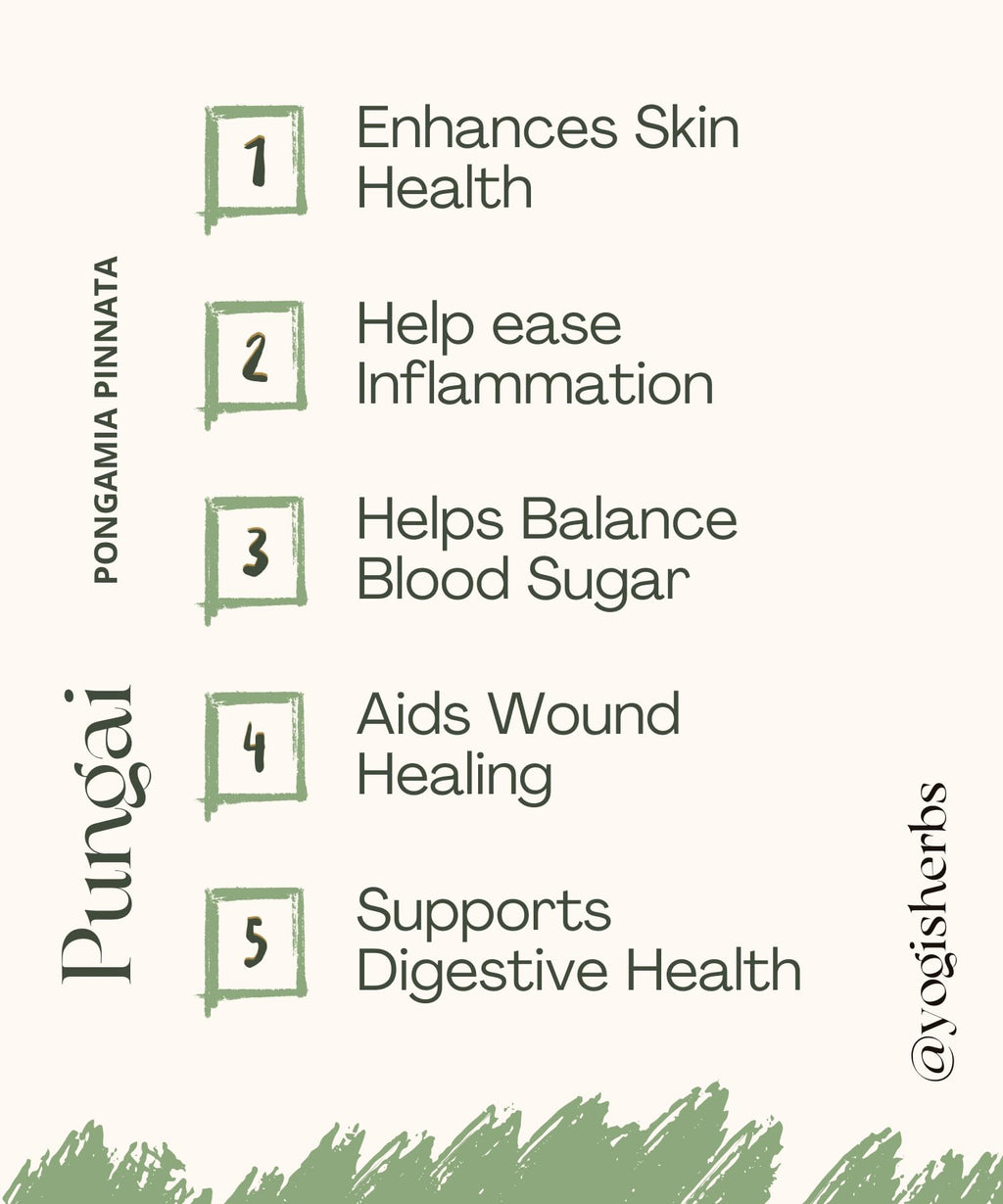 herbal supplements for healthy joints