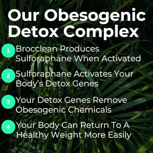 herbal supplements for healthy lifestyle