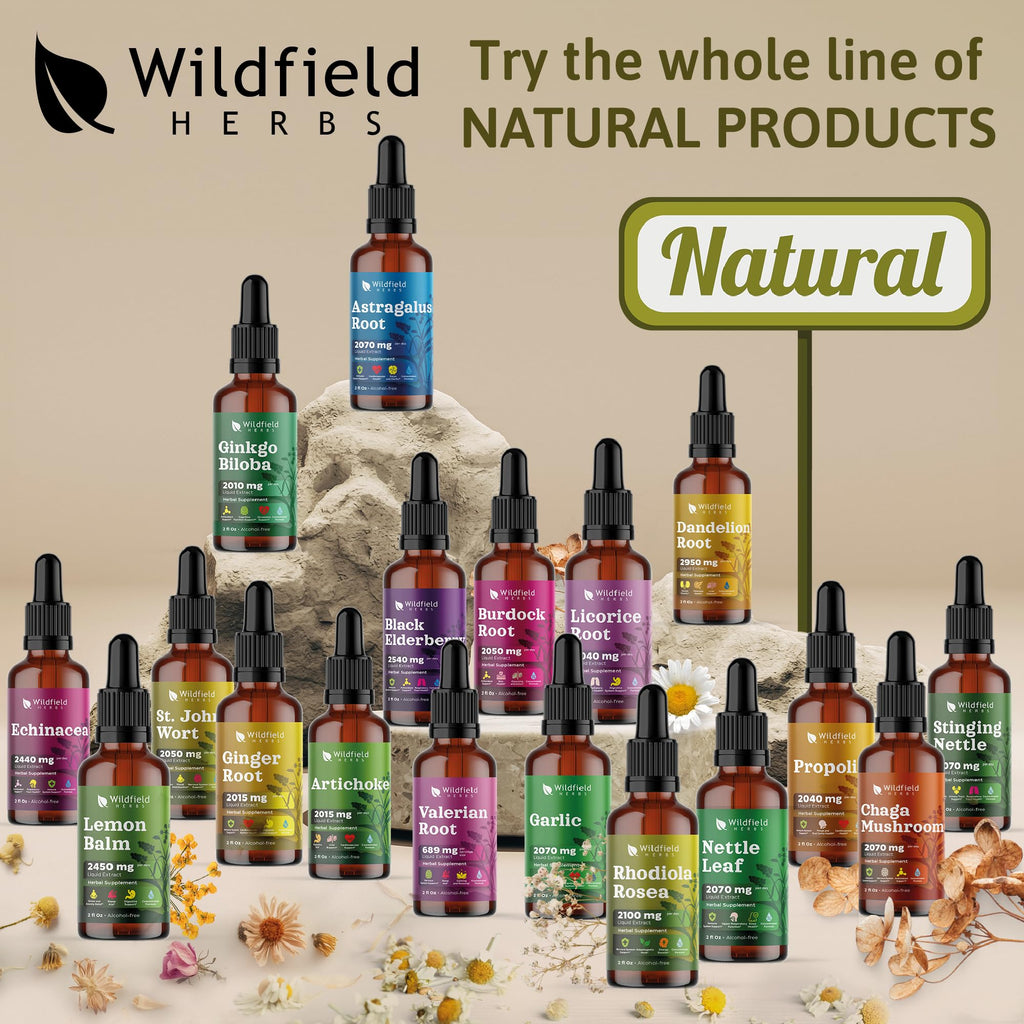 herbal supplements for holistic healing