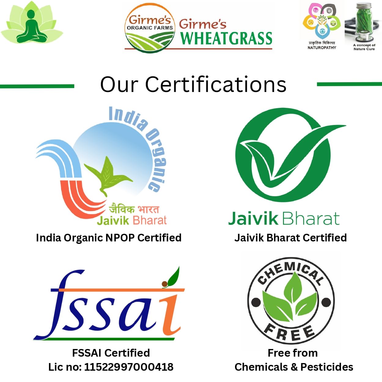 herbal supplements for holistic health