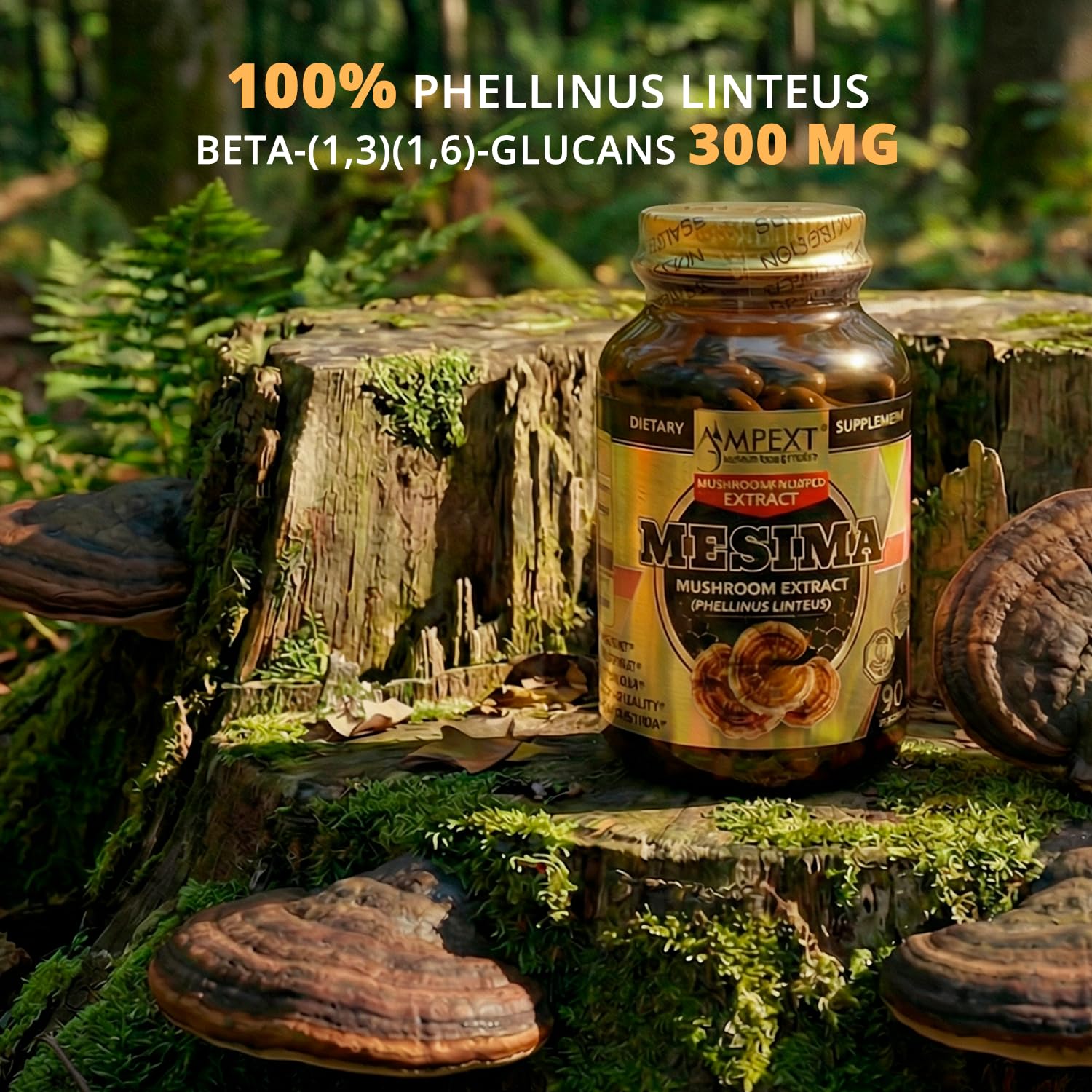 herbal supplements for immune health