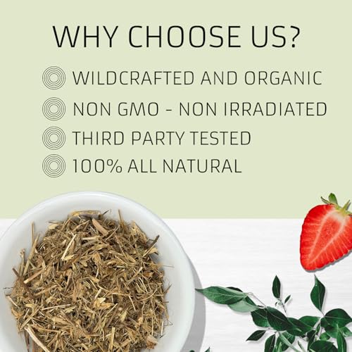 Herbal supplements for immune health