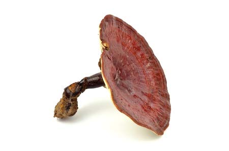 Herbal supplements for immune strength