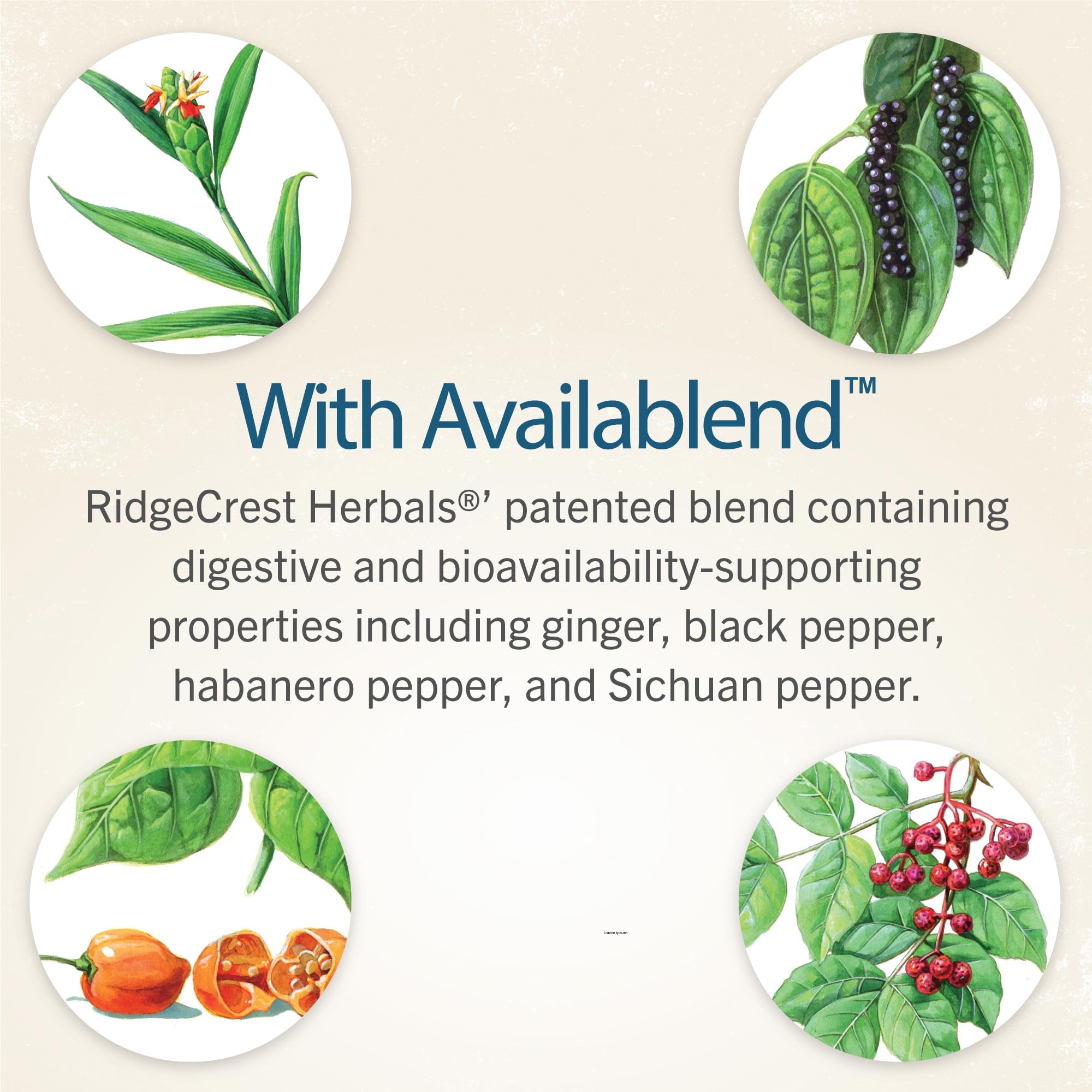 herbal supplements for immune support